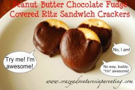 Peanut Butter Chocolate Fudge Covered Ritz Sandwich Crackers
