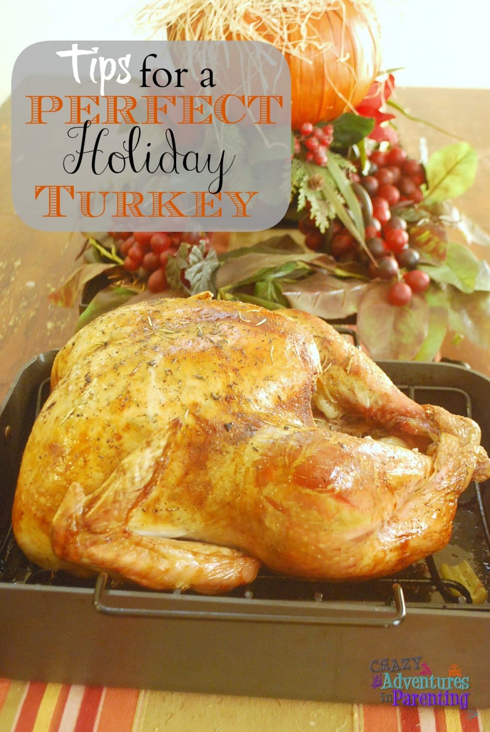 Tips for the Best Holiday Turkey Recipe