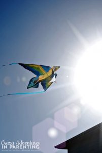 A Perfect Day for Kite Flying | Crazy Adventures in Parenting
