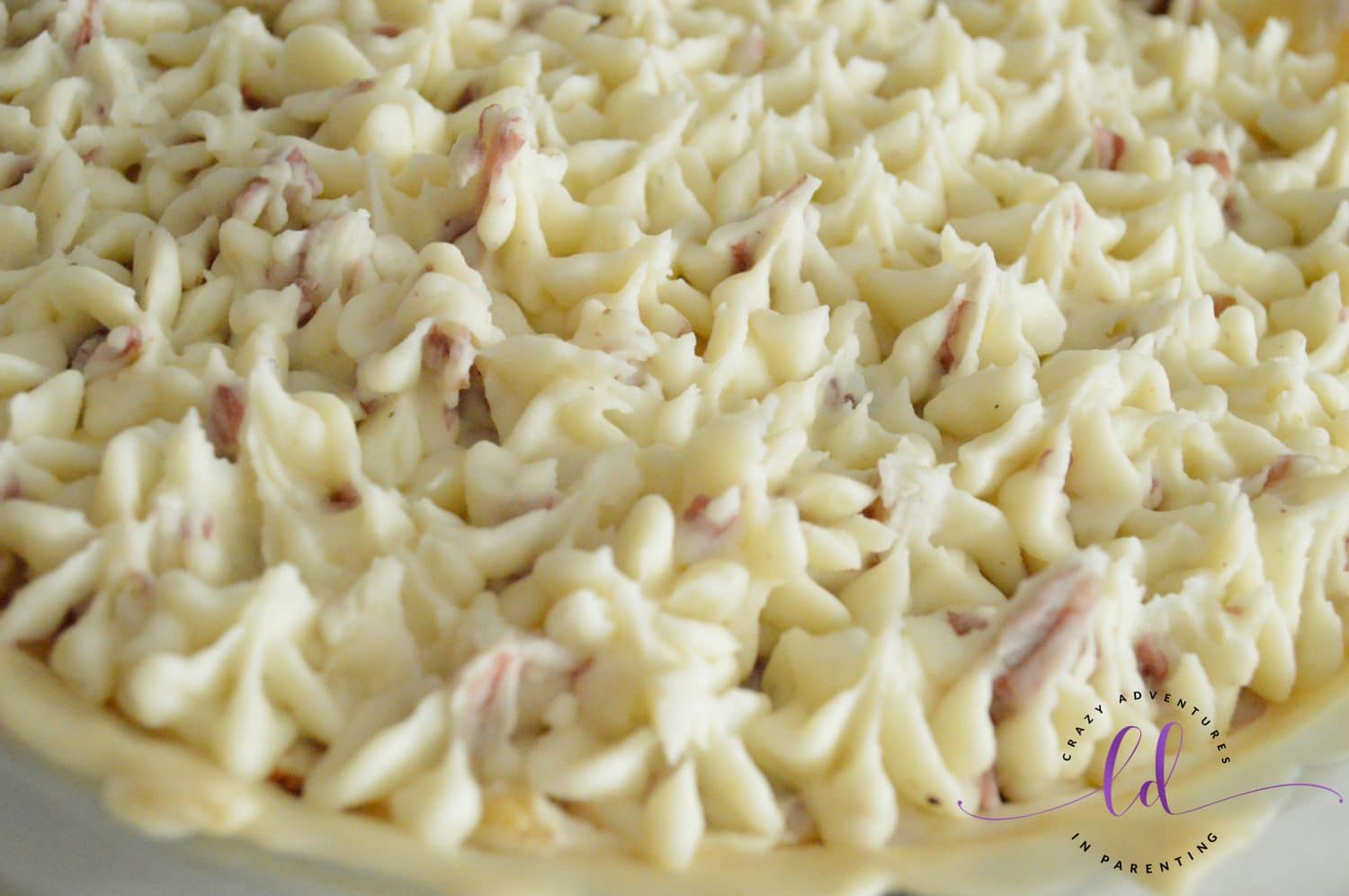 Pulled Pork Pot Pie with Mashed Potato Topping | Crazy Adventures in ...